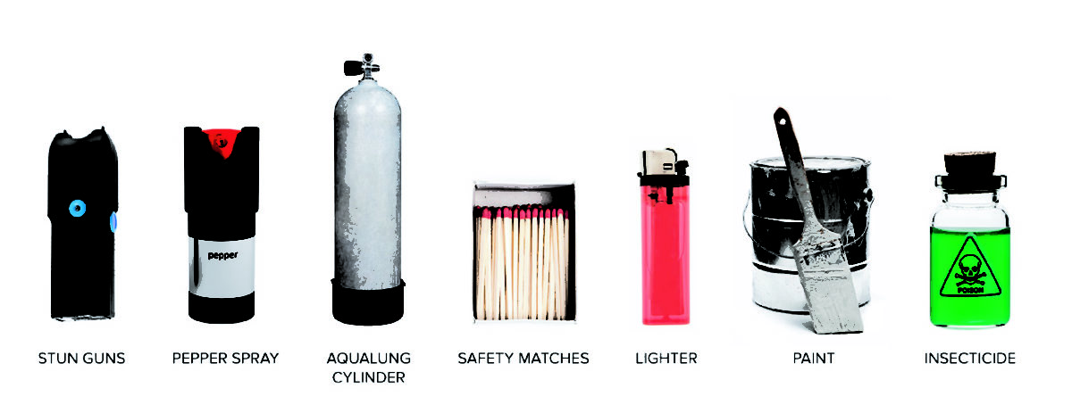 Here’s The List of Prohibited Items That You Cannot Carry To India ...